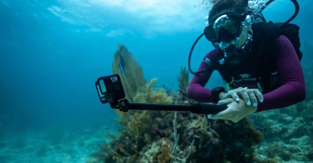 Best Diving Cameras for Beginners (2026) | Public Safety Diver's Top ...