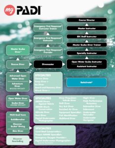 Types of Scuba Certification | 2026 PADI vs SSI vs NAUI Guide | Scuba ...