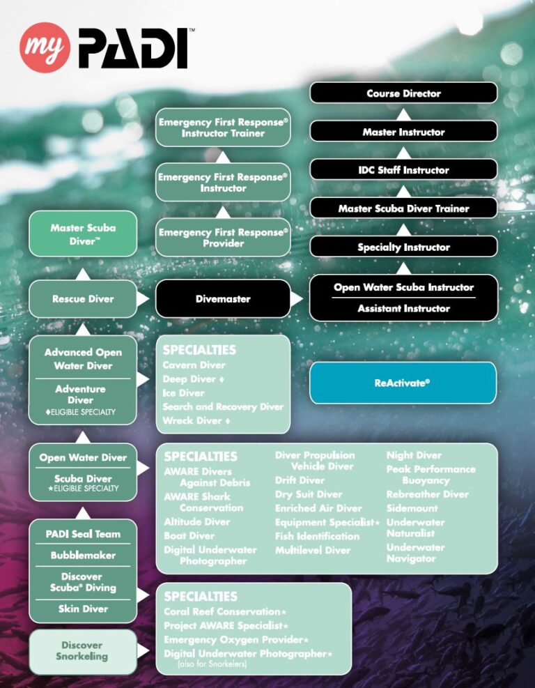 Types of Scuba Certification | 2026 PADI vs SSI vs NAUI Guide | Scuba ...